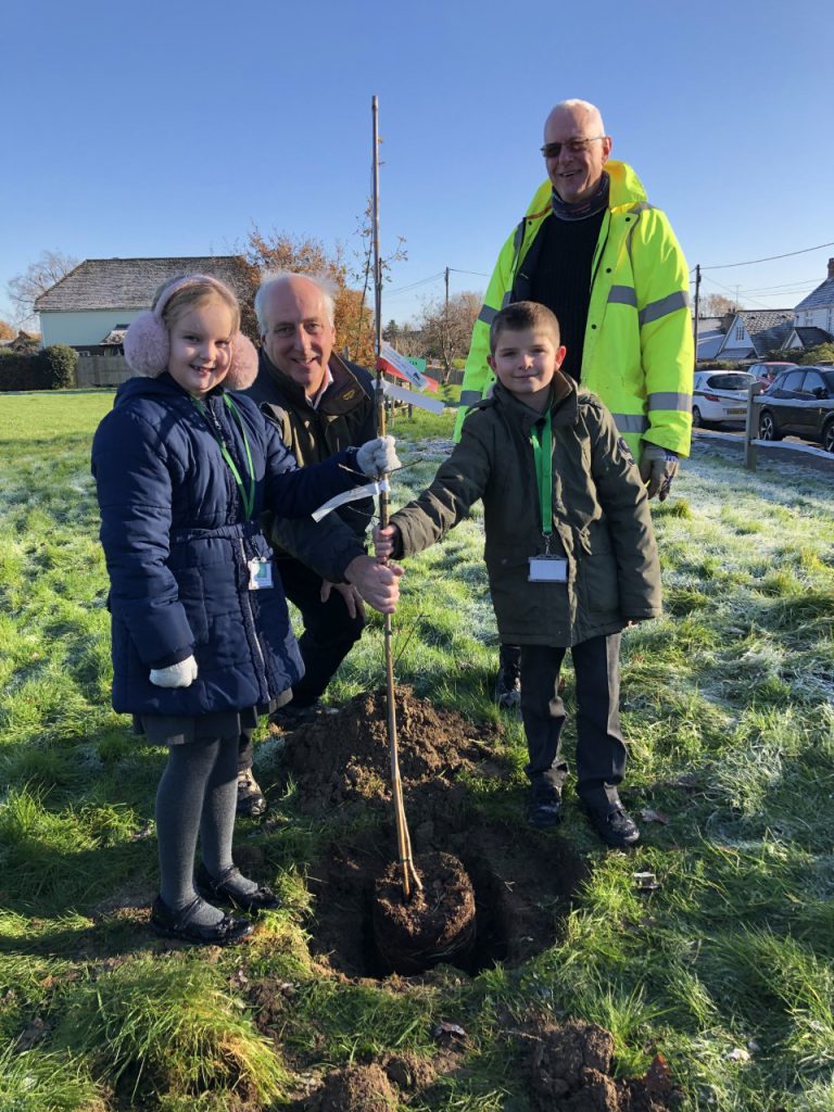 Tree Planting – Brede Parish Council